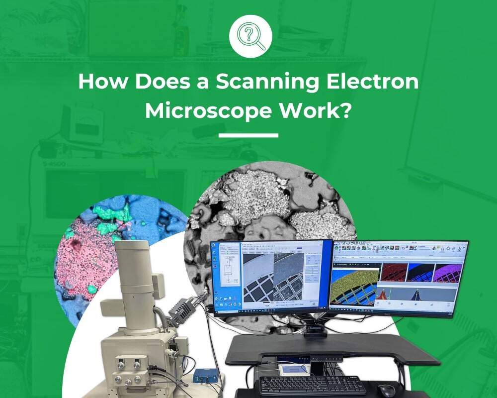 Windows 11 Upgrade for Scanning Electron Microscopes